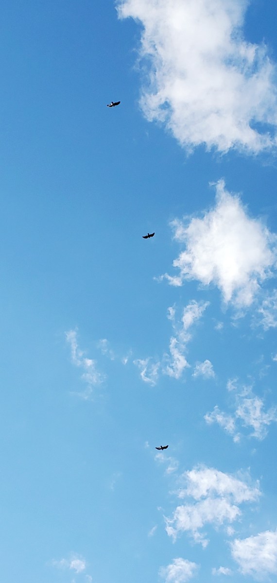 Indiference in disguise – Carried in the cross